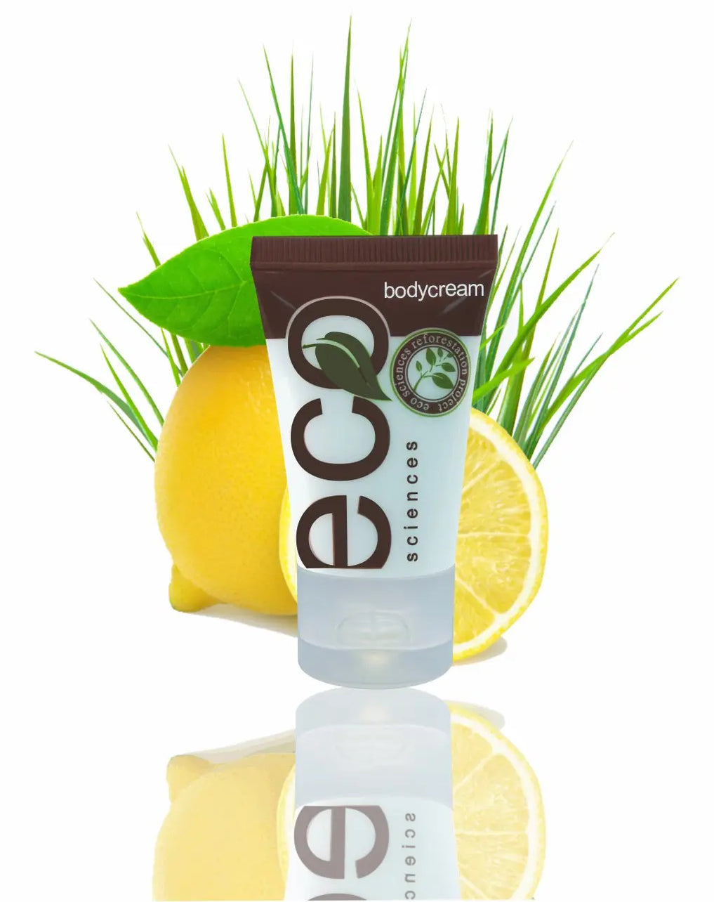 Hotel Lotion wholesale Canada Toiletries by Branded Amenities – Hotel ...